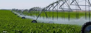 The Importance Water Dams In Medium And Large-Scale Irrigation Systems ...