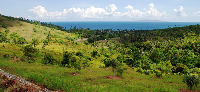 Bibili Ka Ba ng Lupa?: 3 Ways on How You Can Acquire Land in the ...