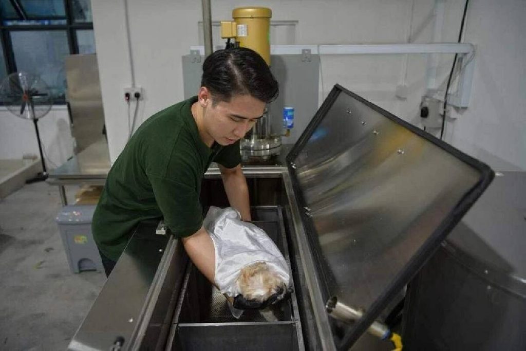 Is the Philippines Ready For These New Types of Burial Concepts ...