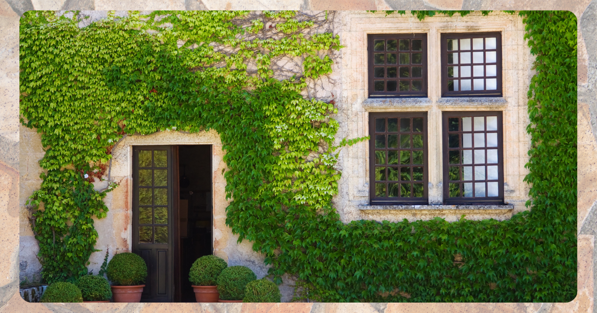 Can Wall Cladding Cool Your Home?: The Best Wall Cladding Styles Rid of ...