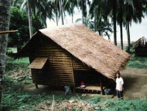 Proudly Pinoy Made: 12 Pre-Colonial Home Designs of Different Regions ...