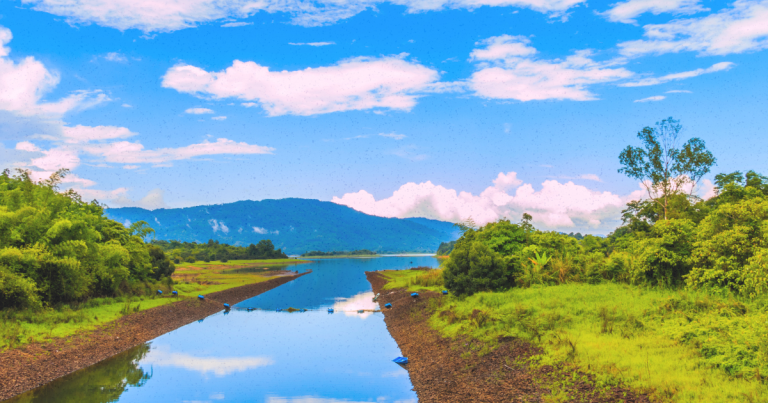 Porous City: Designing A Water Absorbing City - Pinoy Builders