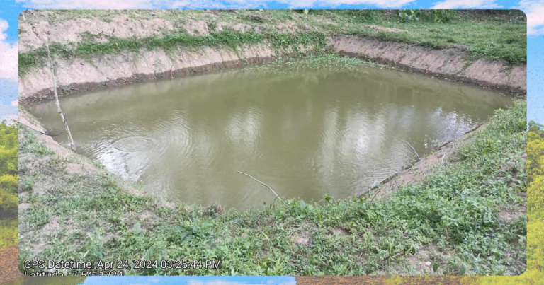 Porous City: Designing A Water Absorbing City - Pinoy Builders