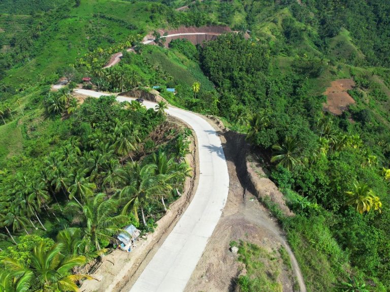DPWH: New Road To 2,870-Hectare Coffee Plantation In Cebu Nears ...