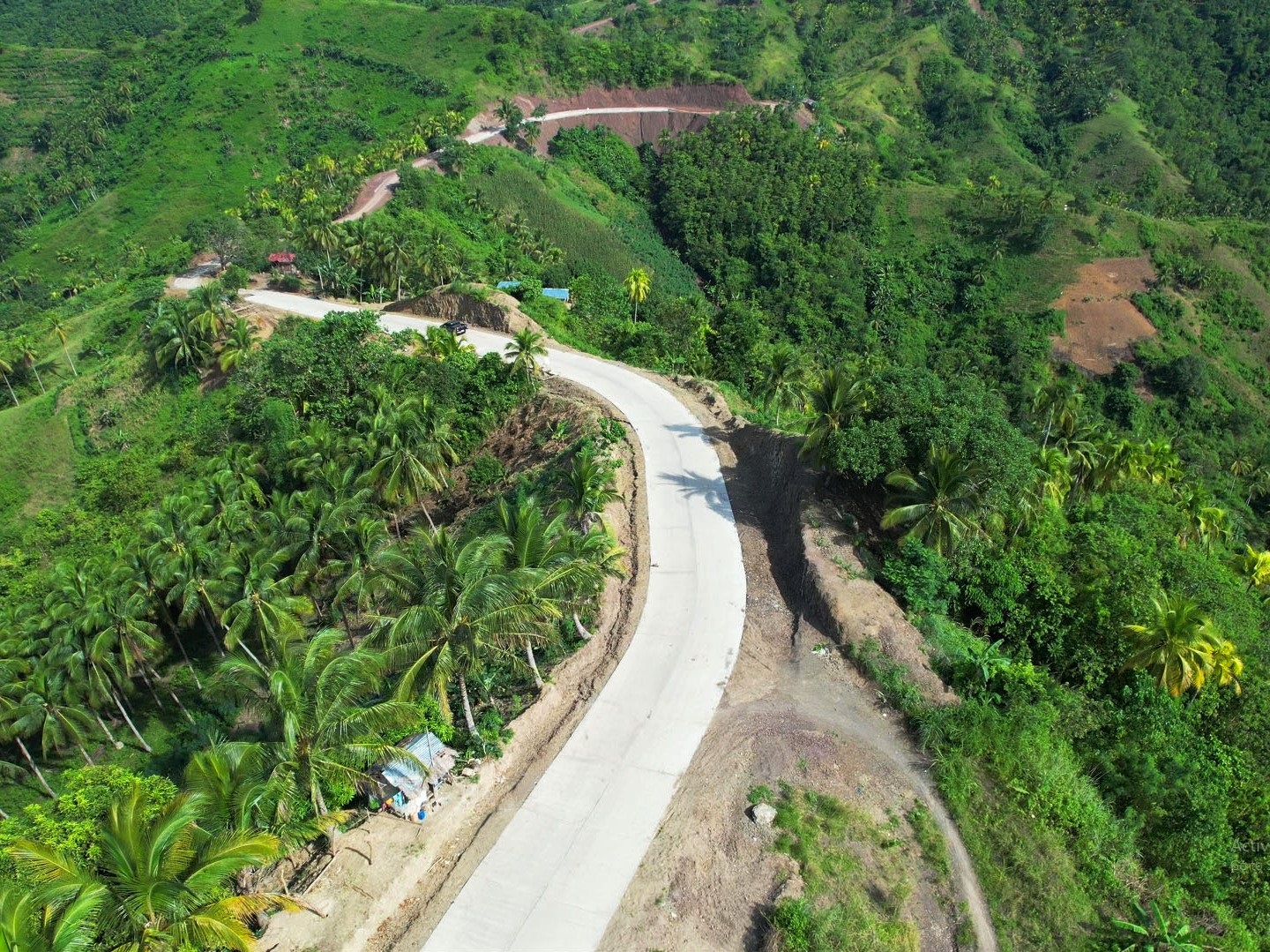 DPWH: New Road To 2,870-Hectare Coffee Plantation In Cebu Nears ...