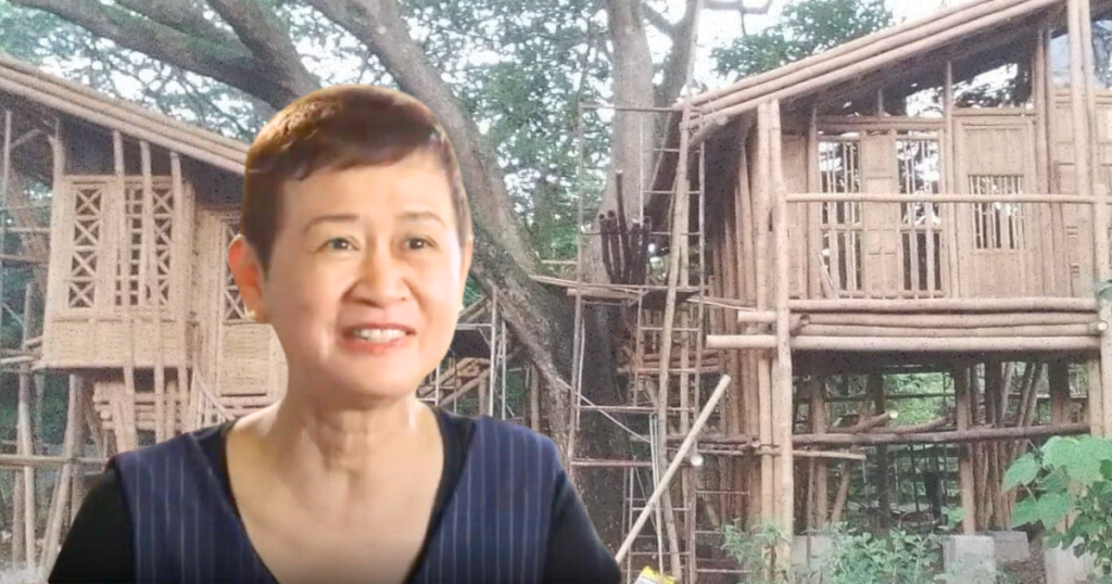 3 Bamboo House Designs For The Modern Filipino Homeowner - Pinoy Builders