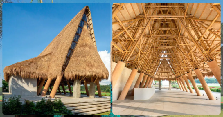 3 Bamboo House Designs For The Modern Filipino Homeowner - Pinoy Builders