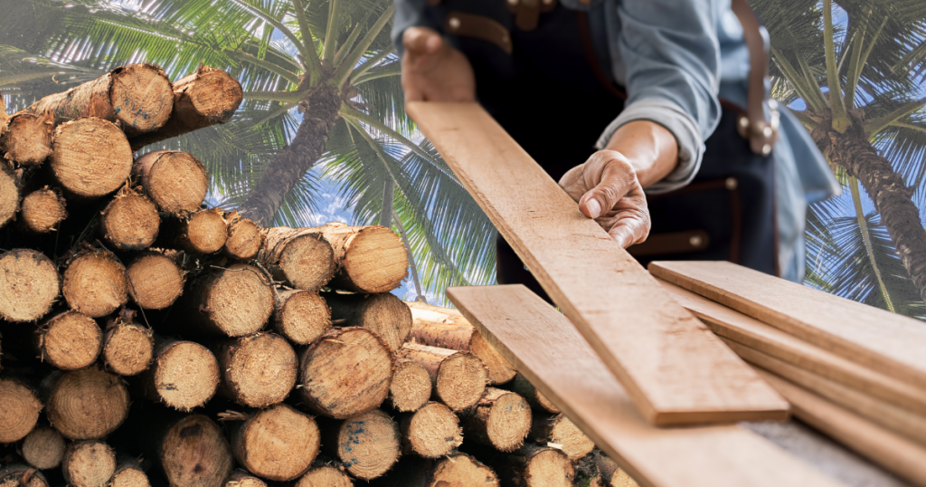 Go Coco With Your Next Project: 5 Reasons Why Many Are Choosing Coco ...